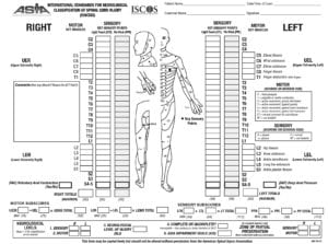 Spinal Cord Injury (SCI) | Brainbook