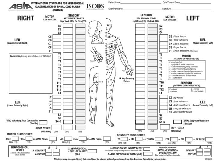 Spinal Cord Injury (SCI) | Brainbook