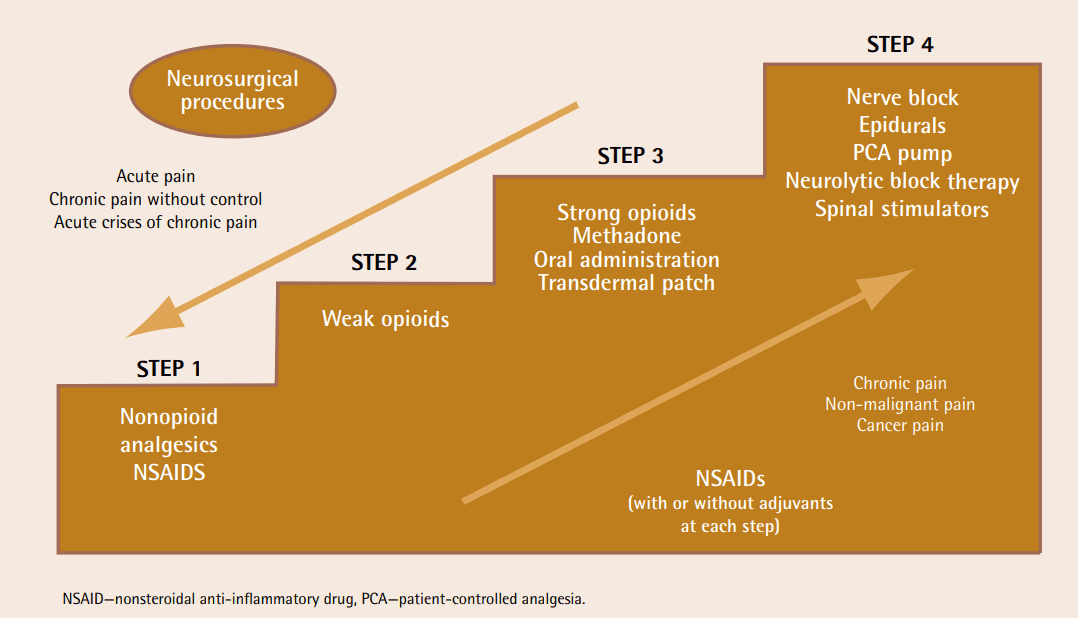 Cancer Pain - A Summary | Brainbook